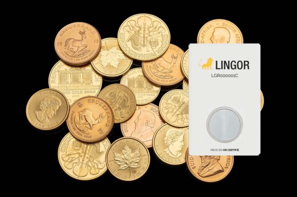 Découvrez les Coincards LINGOR